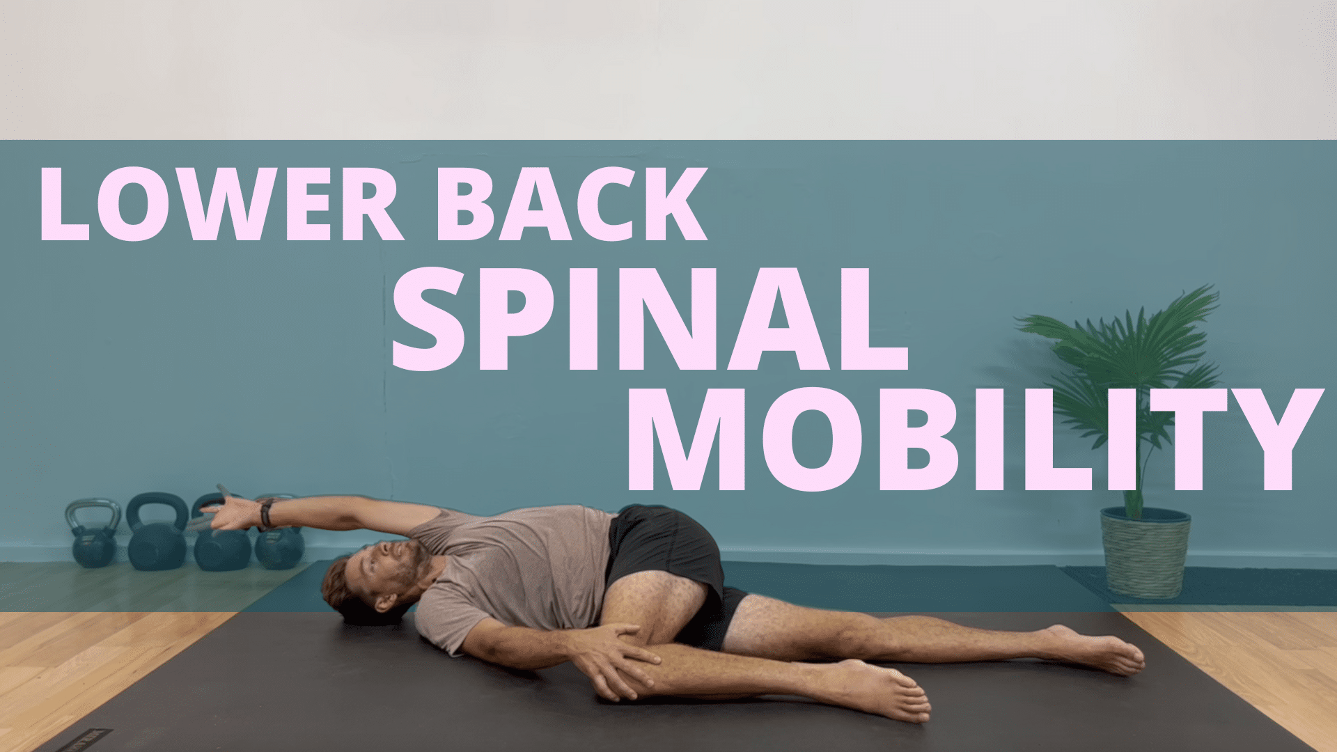 LOWER BACK SPINAL MOBILITY - MOTUM Health