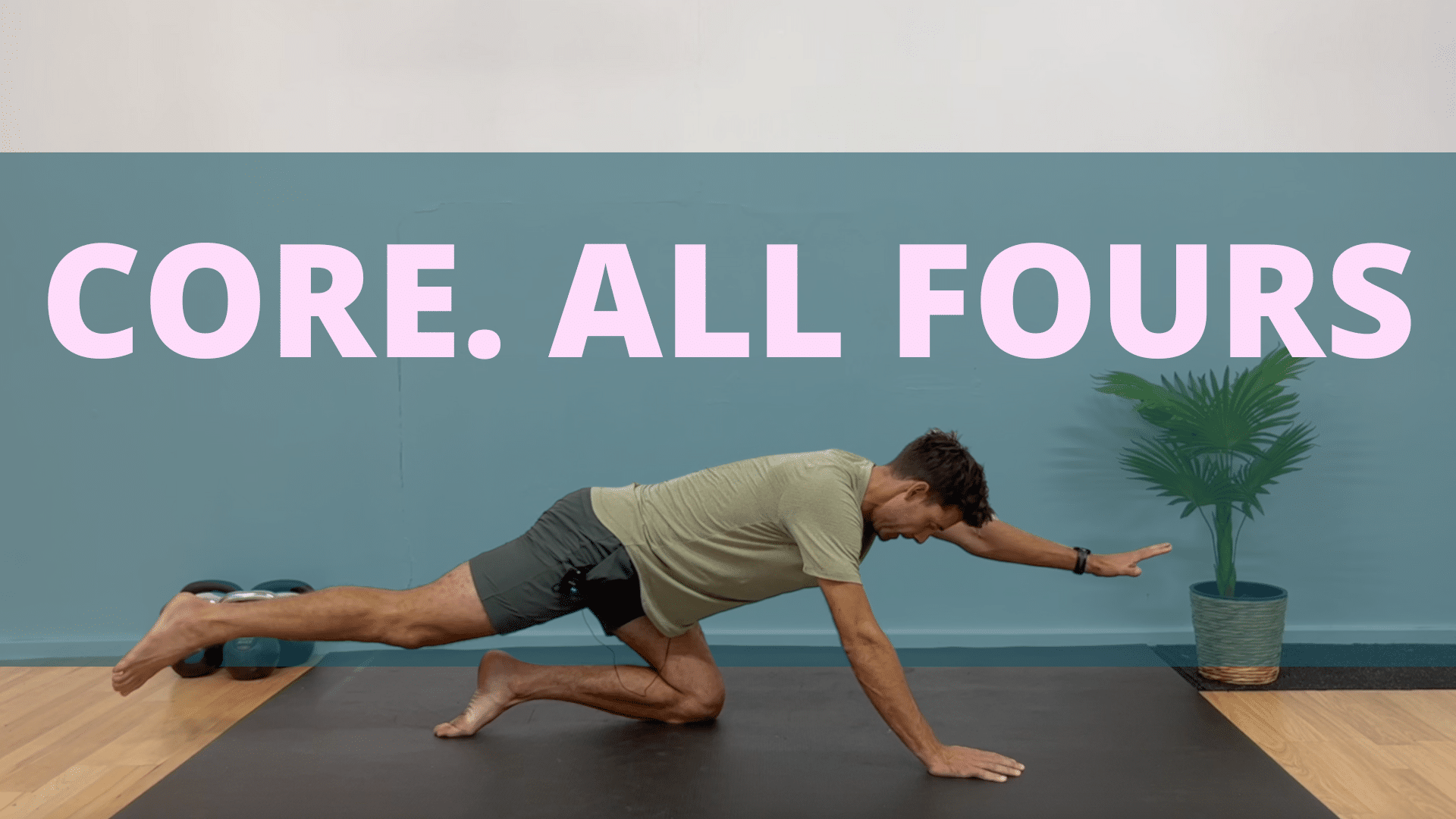 CORE - ALL FOURS - MOTUM Health