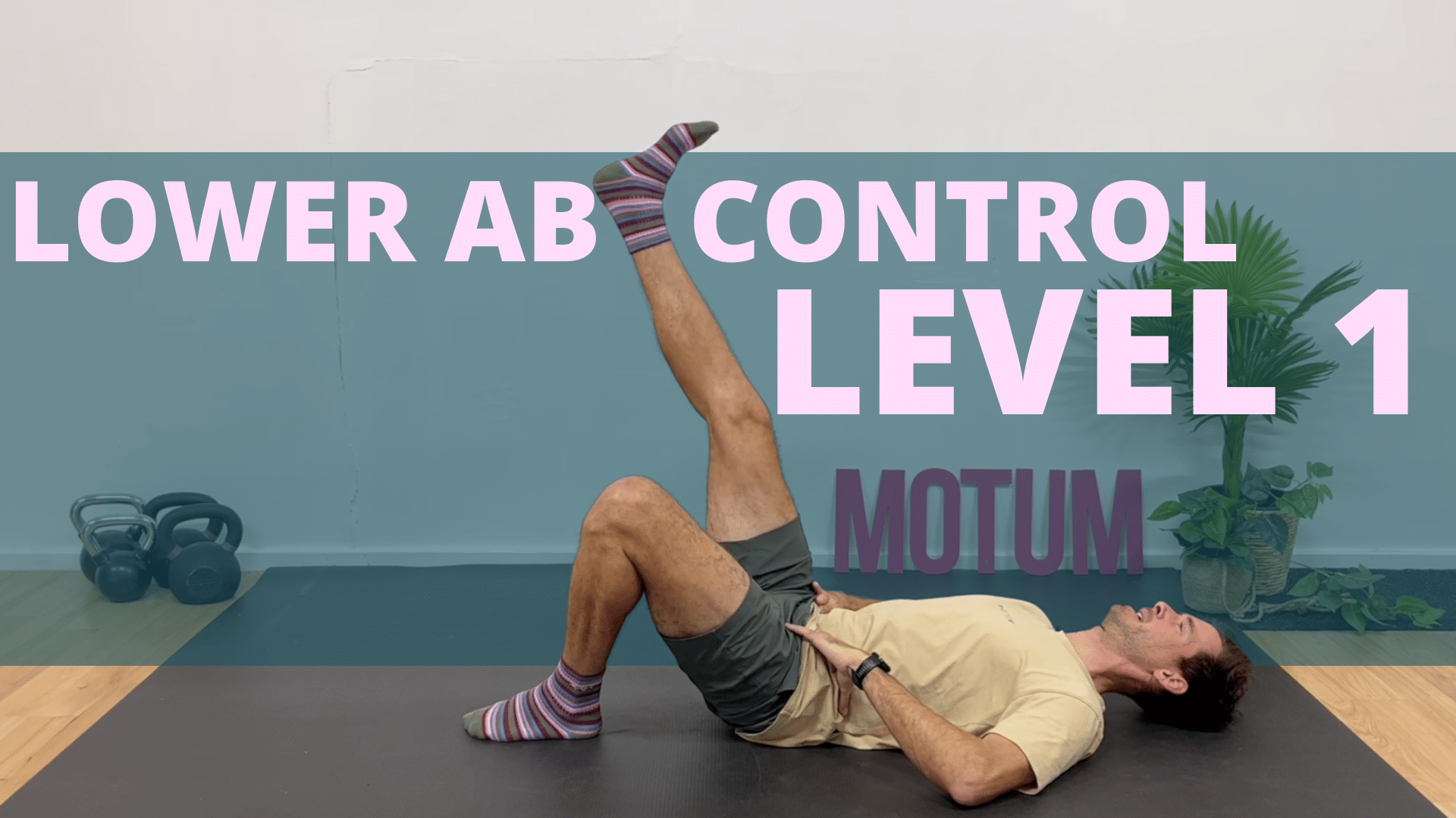 LOWER AB CONTROL LEVEL 1 - MOTUM Health